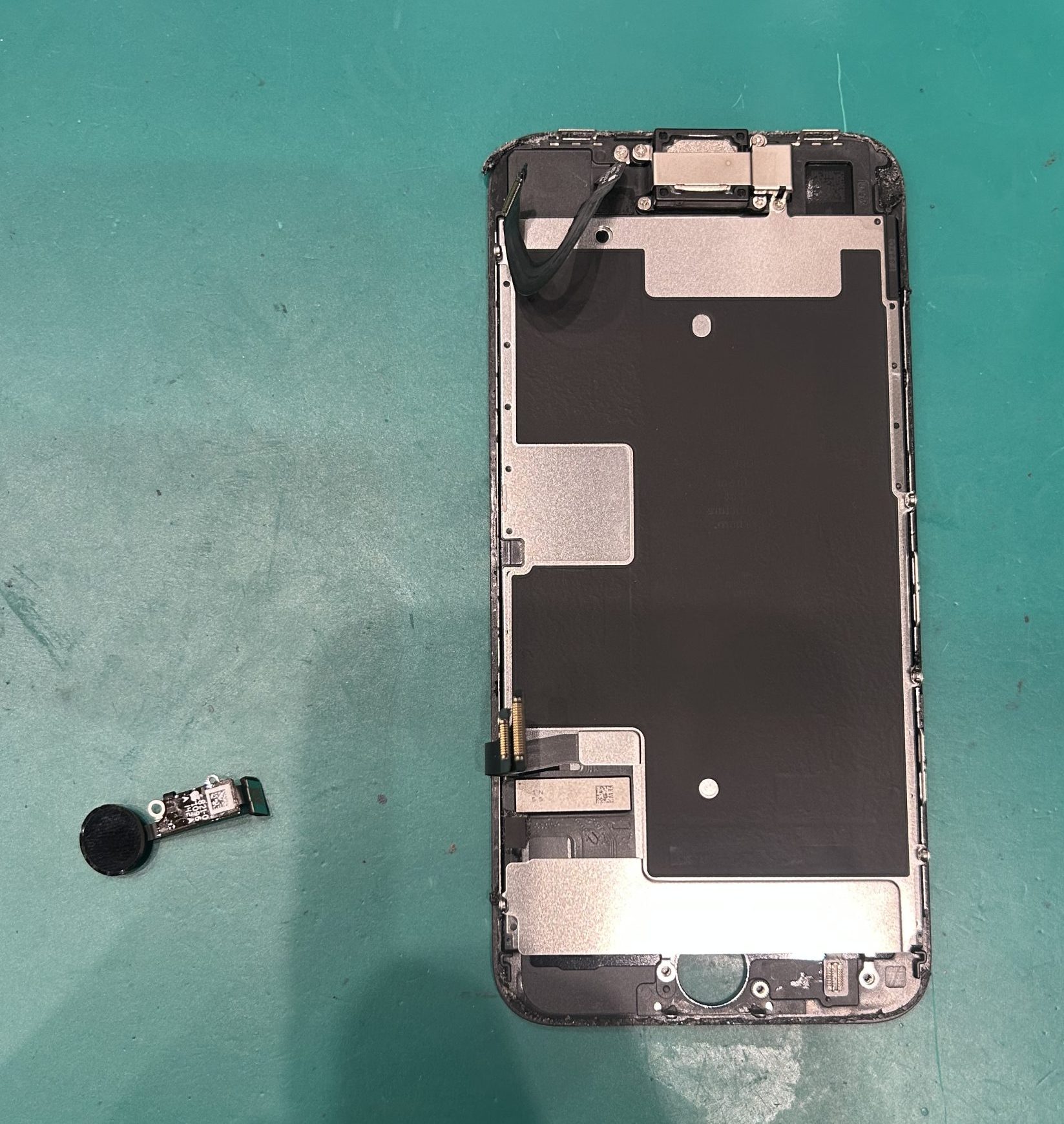 iPhone8ホームボタン交換 [徳島市よりご来店] | iPhone修理・iPad修理 スマートクール イオンモール徳島店